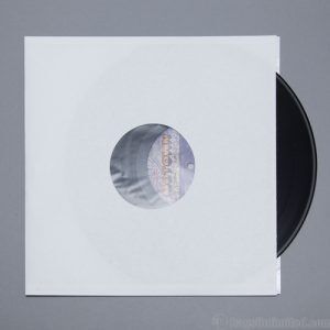 Best Ways to Choose Inner & Outer Vinyl Record Sleeves ...